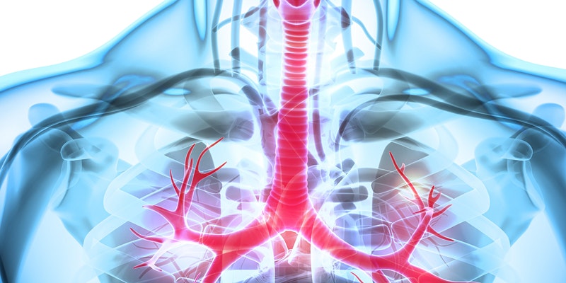 Host bacteria and human health - AHSC